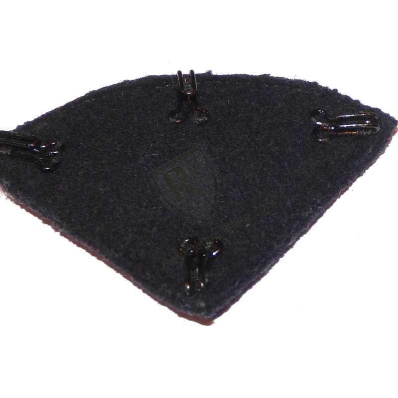 25th Airborne Division Badge